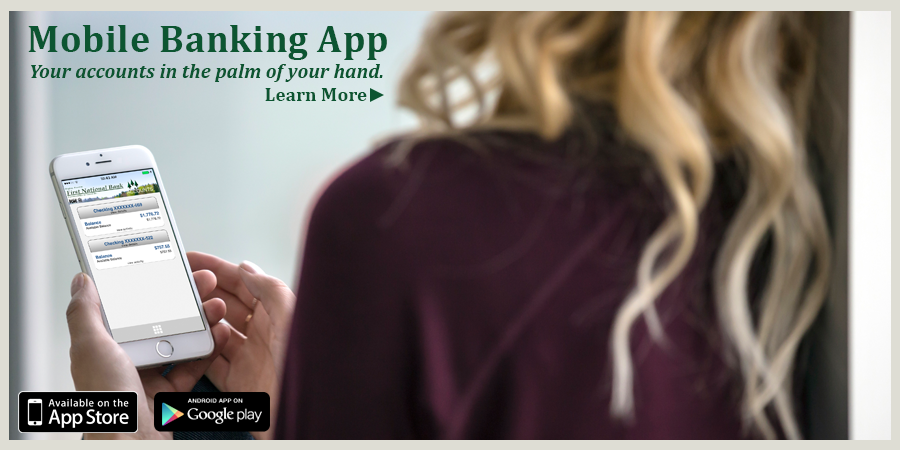 Home [www.fnbezbanking.com]